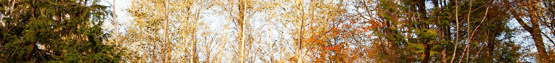 Meet Dr. Justin Yeates | Yeates Family Dental